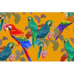 Fototapete papermoon "BLUMEN ABSTRAKT-PAPGEIEN MUSTER DESIGN VOGEL BLUMEN", bunt, B:3,5m L:2,6m, Vlies, Tapeten