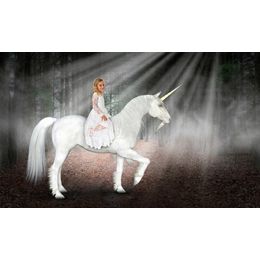 Fototapete papermoon "Einhorn Hoffnung Liebe Frieden", bunt, B:5m L:2,8m, Vlies, Tapeten