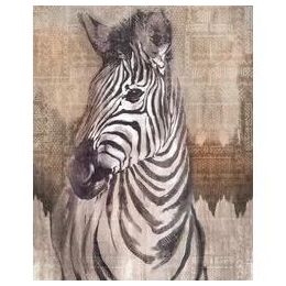 Vliestapete Komar "Digitaldruck Vlies - Zebra - Gr&ouml;&szlig;e 200 x 250 cm", bunt (schwarz, braun, wei&szlig;), B:200m L:250m, Vlies, Tapeten, Wohnzimmer, Schlafzimmer