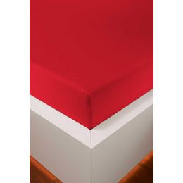 Spannbettlaken bellana "bellana deluxe mit Elasthan, Jersey 230 g/m&sup2;, Premium-Qualit&auml;t", rot, 1 Stk., Jersey-Elasthan, 100x200 100x210 100x220 110x200 110x210 110x220 120x200 120x210 120x220 90x200 90x210 90x220 35cm, Jersey-Elasthan, Obermaterial: 95% Baumwolle, 5% Elasthan (LYCRA), Bettlaken, Spannbettlaken, mit 5% Elasthan, f&uuml;r Matratzen bis 35cm H&ouml;he, b&uuml;gelfrei, faltenfrei