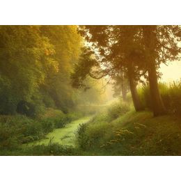 Fototapete papermoon "Wald mit Fluss", bunt, B:5m L:2,8m, Vlies, Tapeten