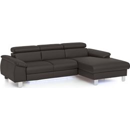Ecksofa COTTA "Komaris L-Form, B: 244 cm", braun, B:244cm H:72cm T:166cm, Microfaser PRIMABELLE (100% Polyester);Kunstleder SOFTLUX(100%Polyurethan);Feinstruktur (100% Polyester);Kunstleder SOFTLUX/Struktur (100%Polyurethan, 90%Polyester, 10% Polyacryl), Sofas, Ecksofa, mit Kopfteilverstellung, optional Bettfunktion, Bettkasten & Licht