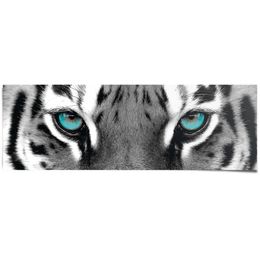 Poster Reinders "Sibirischer Tiger", schwarz (farbe bild(er): schwarz, wei&szlig;), B:158cm H:53cm T:0,1cm, Papier, Bilder, Poster