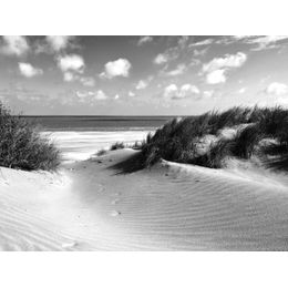 Fototapete papermoon "Strand Schwarz & Wei&szlig;", schwarz (schwarz, wei&szlig;), B:4,5m L:2,8m, Vlies, Tapeten