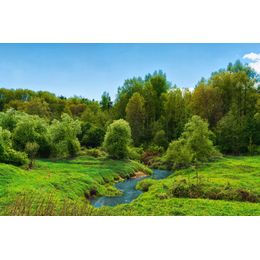 Fototapete papermoon "FLUSS IM WALD-BAUM NATUR DSCHUNGEL SONNE WEG WASSERFALL", bunt, B:3,5m L:2,6m, Vlies, Tapeten