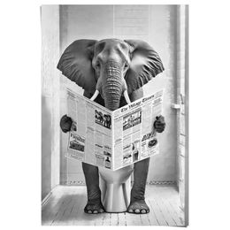 Poster Reinders "Elefant auf der Toilette", schwarz-wei&szlig; (farbe bild(er): schwarz, wei&szlig;), B:61cm H:91,5cm T:0,1cm, Bilder, Poster, Toilette - Schwarz-Wei&szlig; - 150 gr. Papier - Tiere - 61x91,5 cm