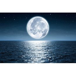Fototapete papermoon "Vollmond", bunt, B:5m L:2,8m, Vlies, Tapeten