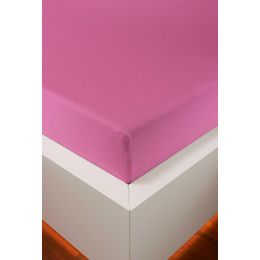 Spannbettlaken bellana "bellana deluxe mit Elasthan, Jersey 230 g/m&sup2;, Premium-Qualit&auml;t", pink, 1 Stk., Jersey-Elasthan, 180x200 180x210 180x220 190x200 190x210 190x220 200x200 200x210 200x220 35cm, Jersey-Elasthan, Obermaterial: 95% Baumwolle, 5% Elasthan (LYCRA), Bettlaken, Spannbettlaken, mit 5% Elasthan, f&uuml;r Matratzen bis 35cm H&ouml;he, b&uuml;gelfrei, faltenfrei