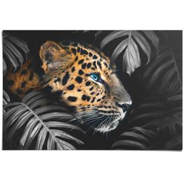 Poster Reinders "Leopard Jungle - Eyecatcher - Tiermotiv - Modern", bunt (farbe bild(er): mehrfarbig), B:91,5cm H:61cm, Papier, Bilder, Poster