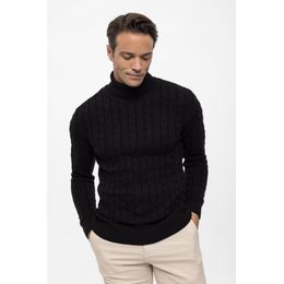 Rollkragenpullover FELIX HARDY "Rollkragenpullover aus Kabelstrick", Herren, Gr. M, schwarz, 100% Baumwolle, Pullover Rollkragenpullover