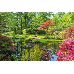 Fototapete papermoon "GARTEN-BLUMEN B&Auml;UME PFLANZEN STEINE WALD PARK BL&Uuml;TEN", bunt, B:3,5m L:2,6m, Vlies, Tapeten
