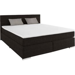 Boxspringbett COTTA "Simba", braun, L:209cm, Komplettbetten, Boxspringbett, wahlweise mit oder ohne Matratze und Topper bestellbar