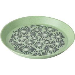 Koziol Blomster tiefer Teller 20,5 cm stapelbar / robust / sp&uuml;lmaschinengeeignet nature leaf green daisy - Teller