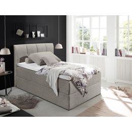 Boxbett ED EXCITING DESIGN "Granada" inkl. Bettkasten und Topper", schlamm colet 35, B:122cm L:213cm, 100% Polyester, Komplettbetten, erh&auml;ltlich in den Gr&ouml;&szlig;en 120x200cm & 180x200cm