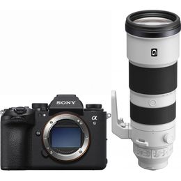 Sony Alpha ILCE-9 III + Sony SEL 200-600mm f5,6-6,3 - abzgl. 100,00&euro; Welcome to Alpha-Bonus - abzgl. 100,00&euro; Sommer Cashback