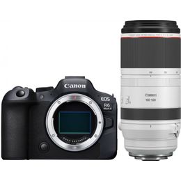 Canon EOS R6 II + RF 100-500mm f4,5-7,1L IS USM - Dealpreis