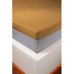 Spannbettlaken bellana "bellana deluxe f&uuml;r Topper, mit Elasthan, Premium Jersey 230 g/m&sup2;", curry, 1 Stk., Jersey, 100x200 100x210 100x220 110x200 110x210 110x220 120x200 120x210 120x220 90x200 90x210 90x220 10cm, Jersey, Obermaterial: 95% Baumwolle, 5% Elasthan (LYCRA), Bettlaken, Spannbettlaken, mit 5% Elasthan, f&uuml;r Topper mit 4-10cm H&ouml;he, b&uuml;gelfrei, faltenfrei