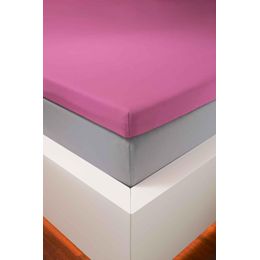 Spannbettlaken bellana "bellana deluxe f&uuml;r Topper, mit Elasthan, Premium Jersey 230 g/m&sup2;", pink, 1 Stk., Jersey, 140x200 140x210 140x220 150x200 150x210 150x220 160x200 160x210 160x220 10cm, Jersey, Obermaterial: 95% Baumwolle, 5% Elasthan (LYCRA), Bettlaken, Spannbettlaken, mit 5% Elasthan, f&uuml;r Topper mit 4-10cm H&ouml;he, b&uuml;gelfrei, faltenfrei