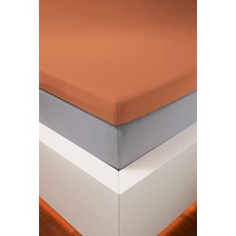Spannbettlaken bellana "bellana deluxe f&uuml;r Topper, mit Elasthan, Premium Jersey 230 g/m&sup2;", mandarine, 1 Stk., Jersey, 140x200 140x210 140x220 150x200 150x210 150x220 160x200 160x210 160x220 10cm, Jersey, Obermaterial: 95% Baumwolle, 5% Elasthan (LYCRA), Bettlaken, Spannbettlaken, mit 5% Elasthan, f&uuml;r Topper mit 4-10cm H&ouml;he, b&uuml;gelfrei, faltenfrei