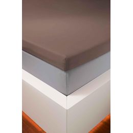 Spannbettlaken bellana "bellana deluxe f&uuml;r Topper, mit Elasthan, Premium Jersey 230 g/m&sup2;", kakao, 1 Stk., Jersey, 100x200 100x210 100x220 110x200 110x210 110x220 120x200 120x210 120x220 90x200 90x210 90x220 10cm, Jersey, Obermaterial: 95% Baumwolle, 5% Elasthan (LYCRA), Bettlaken, Spannbettlaken, mit 5% Elasthan, f&uuml;r Topper mit 4-10cm H&ouml;he, b&uuml;gelfrei, faltenfrei
