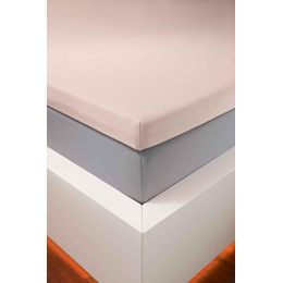 Spannbettlaken bellana "bellana deluxe f&uuml;r Topper, mit Elasthan, Premium Jersey 230 g/m&sup2;", pearl, 1 Stk., Jersey, 140x200 140x210 140x220 150x200 150x210 150x220 160x200 160x210 160x220 10cm, Jersey, Obermaterial: 95% Baumwolle, 5% Elasthan (LYCRA), Bettlaken, Spannbettlaken, mit 5% Elasthan, f&uuml;r Topper mit 4-10cm H&ouml;he, b&uuml;gelfrei, faltenfrei