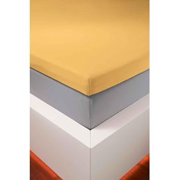 Spannbettlaken bellana "bellana deluxe f&uuml;r Topper, mit Elasthan, Premium Jersey 230 g/m&sup2;", zitrone, 1 Stk., Jersey, 100x200 100x210 100x220 110x200 110x210 110x220 120x200 120x210 120x220 90x200 90x210 90x220 10cm, Jersey, Obermaterial: 95% Baumwolle, 5% Elasthan (LYCRA), Bettlaken, Spannbettlaken, mit 5% Elasthan, f&uuml;r Topper mit 4-10cm H&ouml;he, b&uuml;gelfrei, faltenfrei