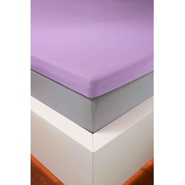 Spannbettlaken bellana "bellana deluxe f&uuml;r Topper, mit Elasthan, Premium Jersey 230 g/m&sup2;", krokus, 1 Stk., Jersey, 100x200 100x210 100x220 110x200 110x210 110x220 120x200 120x210 120x220 90x200 90x210 90x220 10cm, Jersey, Obermaterial: 95% Baumwolle, 5% Elasthan (LYCRA), Bettlaken, Spannbettlaken, mit 5% Elasthan, f&uuml;r Topper mit 4-10cm H&ouml;he, b&uuml;gelfrei, faltenfrei