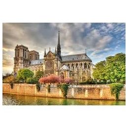 Fototapete papermoon "Notre Dame de Paris", bunt, B:5m L:2,8m, Vlies, Tapeten