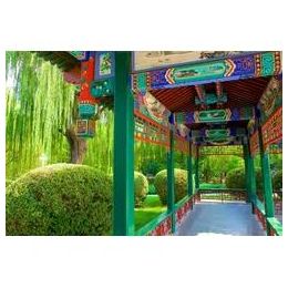 Fototapete papermoon "PAVILLON-PEKING PERGULA GASSE PARK BLUMEN GARTEN B&Auml;UME", bunt, B:3,5m L:2,6m, Vlies, Tapeten