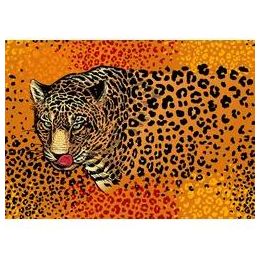 Fototapete papermoon "ABSTRAKT DESIGN- LEOPARD", bunt, B:3,5m L:2,6m, Vlies, Tapeten