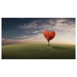 Fototapete papermoon "KONZEPT SURREAL-FANTASIE KONZEPT BAUM HERZ WIESE SONNE", bunt, B:4,5m L:2,8m, Vlies, Tapeten