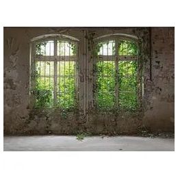 Livingwalls Fototapete LIVING WALLS "Designwalls Old Window", grau (grau, gr&uuml;n), B:3,5m L:2,55m, Vlies, Tapeten, Vlies, Wand, Schr&auml;ge, Decke