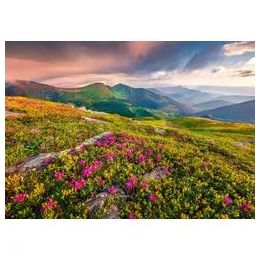 Fototapete papermoon "BLUMEN-NATUR LANDSCHAFT BERGE GEBIRGE ALPEN LAVENDEL", bunt, B:4,5m L:2,8m, Vlies, Tapeten