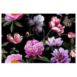 Fototapete papermoon "BLUMEN ABSTRAKT-MUSTER DESIGN ROSEN BLUMEN DECOR RETRO", bunt, B:4m L:2,6m, Vlies, Tapeten
