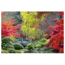 Fototapete papermoon "GARTEN-NATUR WALD B&Auml;UME HERBSTLANDSCHAFT BLUMEN SEE XXL", bunt, B:4m L:2,6m, Vlies, Tapeten