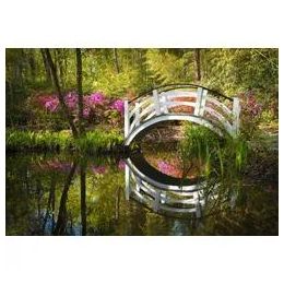 Fototapete papermoon "GARTEN-NATUR LANDSCHAFT WALD B&Auml;UME BLUMEN BR&Uuml;CKE SEE", bunt, B:5m L:2,8m, Vlies, Tapeten