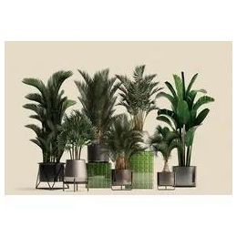 Livingwalls Fototapete LIVING WALLS "Walls by Patel Plant Shop", gr&uuml;n, B:4m L:2,7m, Vlies, Tapeten, Vlies, Wand