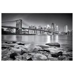 Fototapete papermoon "Photo-Art MARTIN FROYDA, NEW YORK - BROOKLYN BRIDGE", bunt, B:4m L:2,6m, Vlies, Tapeten