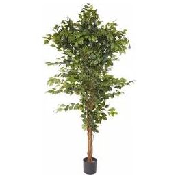 Kunstpflanze Creativ green "Ficus Benjamini", gr&uuml;n, B:23cm H:150cm, Kunststoff, Polyester, Kunstpflanzen, Kunstpflanze