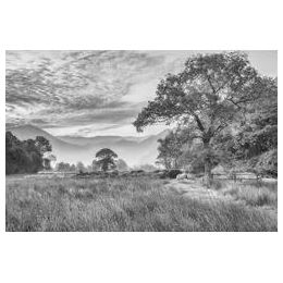 Fototapete papermoon "LANDSCHAFT-SCHWARZ WEI&szlig;NATUR B&Auml;UME BERGE GEBIRGE WALD", bunt, B:4,5m L:2,8m, Vlies, Tapeten