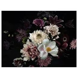 Fototapete papermoon "BLUMEN ABSTRAKT-MUSTER DESIGN ROSEN BLUMEN DECOR RETRO", bunt, B:5m L:2,8m, Vlies, Tapeten