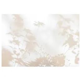 Livingwalls Fototapete LIVING WALLS "Walls by Patel Shadow Room", beige, B:4m L:2,7m, Vlies, Tapeten, Vlies, Wand