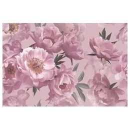 Fototapete papermoon "BLUMEN ABSTRAKT-MUSTER DESIGN ROSEN BLUMEN DECOR RETRO", bunt, B:4,5m L:2,8m, Vlies, Tapeten