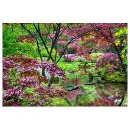 Fototapete papermoon "GARTEN-BLUMEN B&Auml;UME PFLANZEN PARK STEINE BL&Uuml;TEN WALD", bunt, B:4,5m L:2,8m, Vlies, Tapeten
