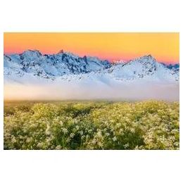 Fototapete papermoon "ALPENLANDSCHAFT", bunt, B:4,5m L:2,8m, Vlies, Tapeten