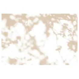 Livingwalls Fototapete LIVING WALLS "Walls by Patel Light Room", beige, B:4m L:2,7m, Vlies, Tapeten, Vlies, Wand