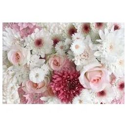 Fototapete papermoon "ROSEN-G&Auml;NZEBL&Uuml;MCHEN BLUME PFLANZE STRAU&szlig; MAKRO NATUR", bunt, B:4m L:2,6m, Vlies, Tapeten