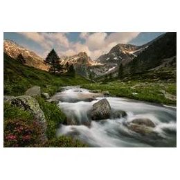 Fototapete papermoon "Photo-Art PAOLO BOLLA, MARITIME ALPEN PARK", bunt, B:5m L:2,8m, Vlies, Tapeten