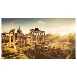 Vliestapete Komar "Digitaldruck Vlies - Forum Romanum - Gr&ouml;&szlig;e 500 x 280 cm", braun, B:500m L:280m, Vlies, Tapeten, Wohnzimmer, Schlafzimmer