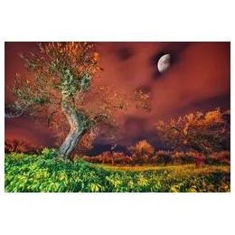 Fototapete papermoon "Baum in Landschaft", bunt, B:4m L:2,6m, Vlies, Tapeten